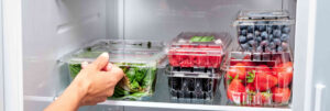 Mold in Refrigerator: Understanding and Tackling the Issue of ...