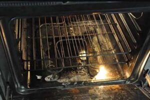 Dealing With Oven Coil Sparking: Causes and Quick Fixes